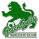 GREEN GULLY CAVALIERS vs AVONDALE FC Predictions & Odds (Australia Npl ...