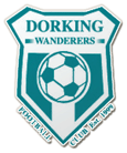 DORKING WANDERERS vs RUSHALL OLYMPIC Predictions & Odds (International ...