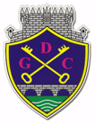 GD CHAVES vs LEIXOES Predictions & Odds (Portugal Segunda Liga)